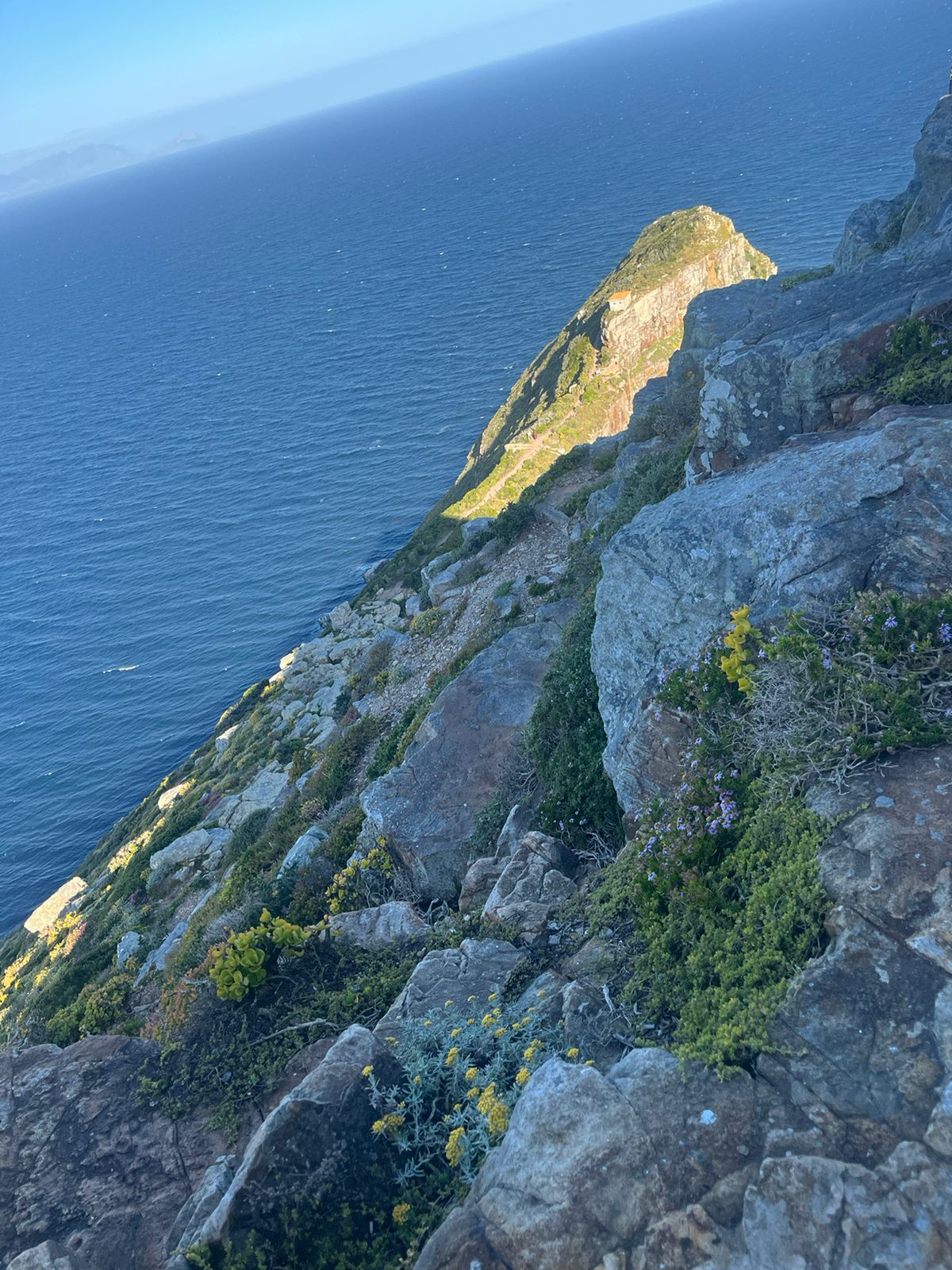 Explore the Cape Peninsula: Nature, Adventure & Coastal Beauty | Cape ...